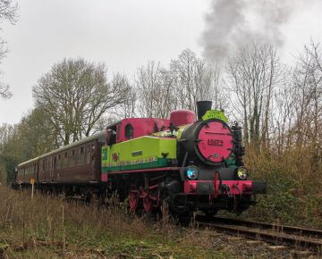 Mixed Traction Weekend - South Devon Railway
