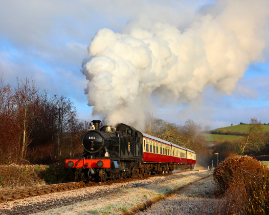 About South Devon Railway - South Devon Railway